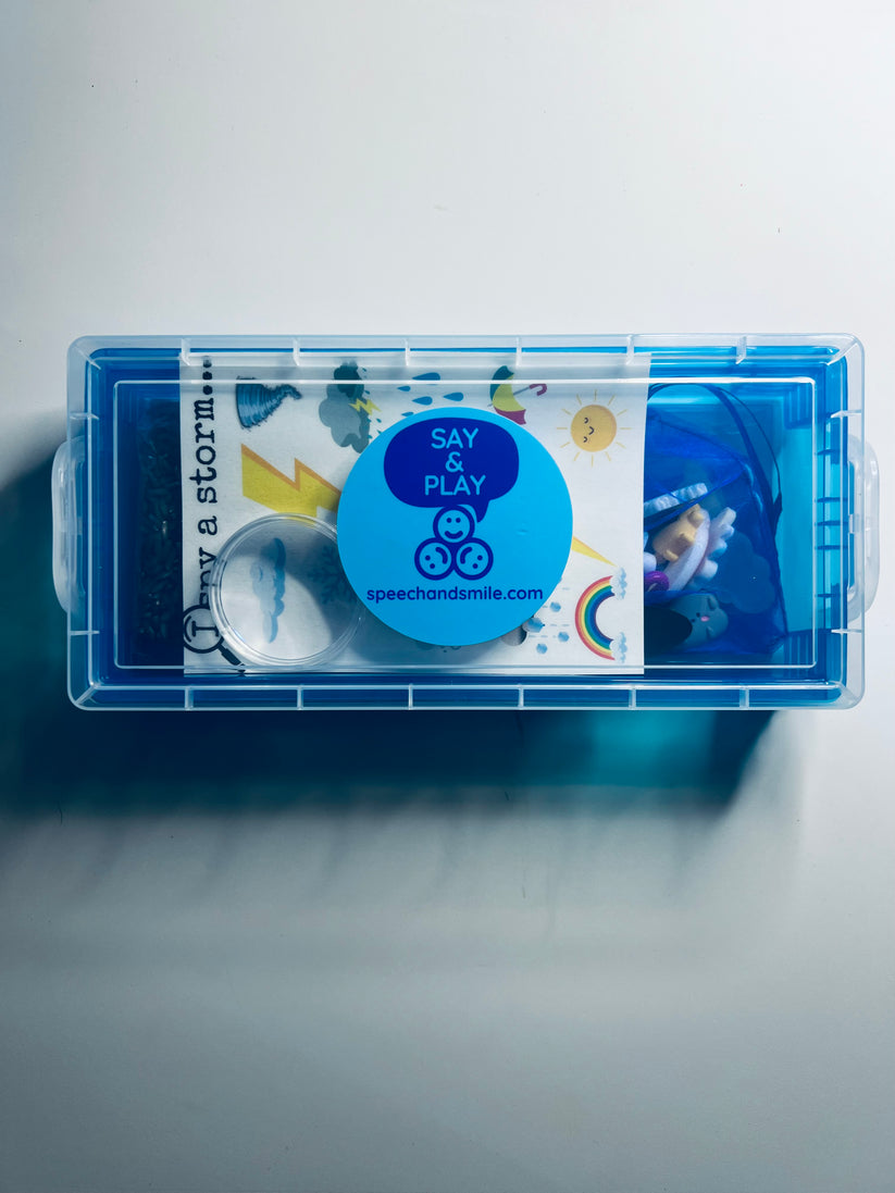 Say and Play I Spy a Storm Stir up a Storm Weather Mini Objects Sensor ...