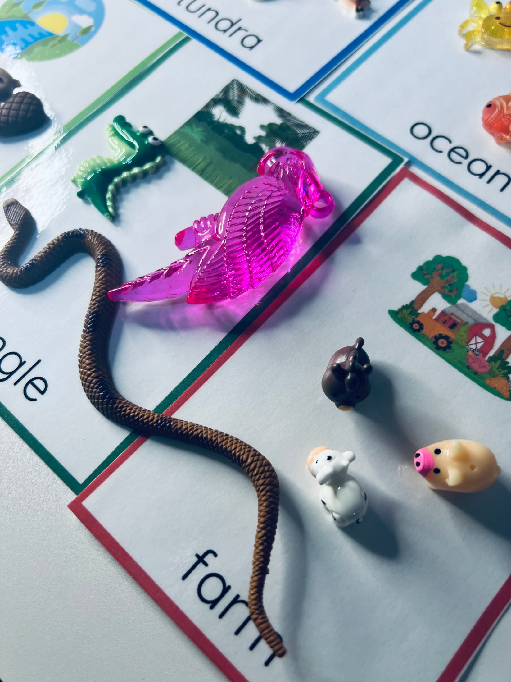 Animal Habitats Kit with Mini Animal Trinkets LANGUAGE Task Box Object ...