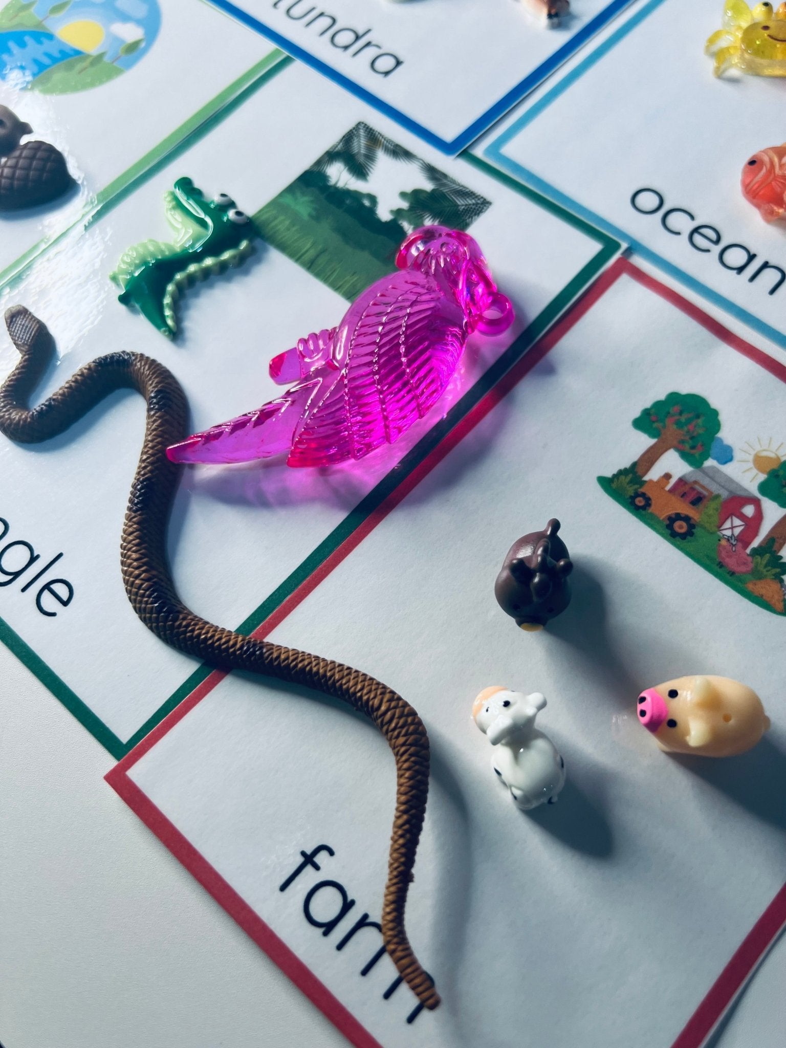 Animal Habitats Task Box with Mini Animal Trinkets – Speech and Smile