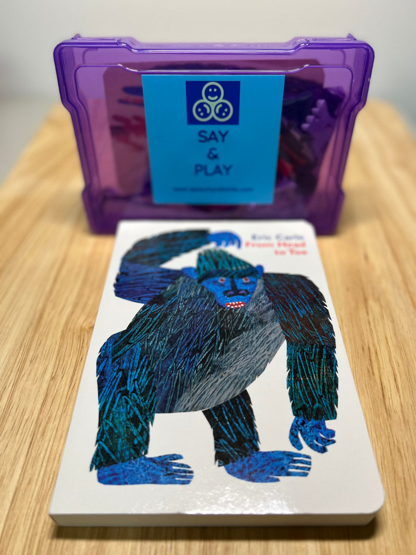 From Head to Toe Story Props-Speech Therapy Mini Objects-Story Objects ...