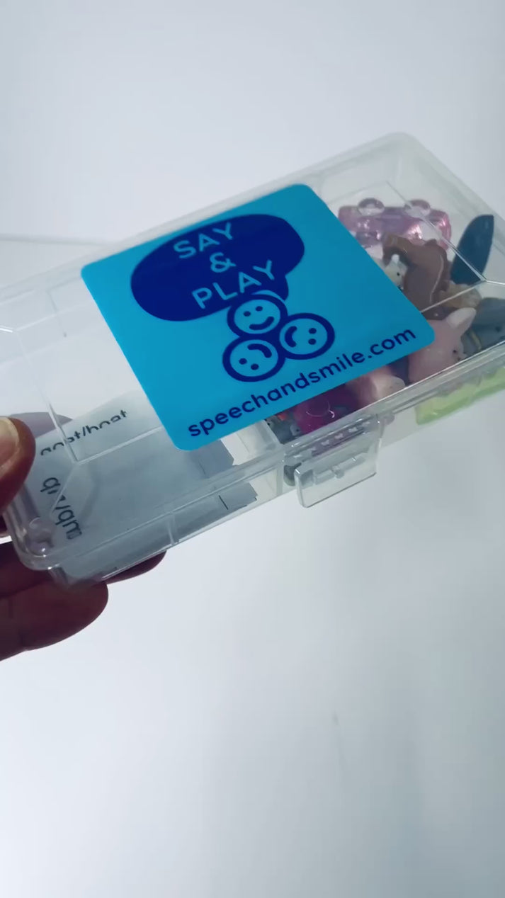 Minimal Pair Mini Objects Kit Speech Therapy Mini Objects Articulation ...